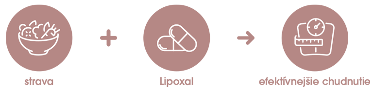 Lipoxal reset - Lipoxal Reset